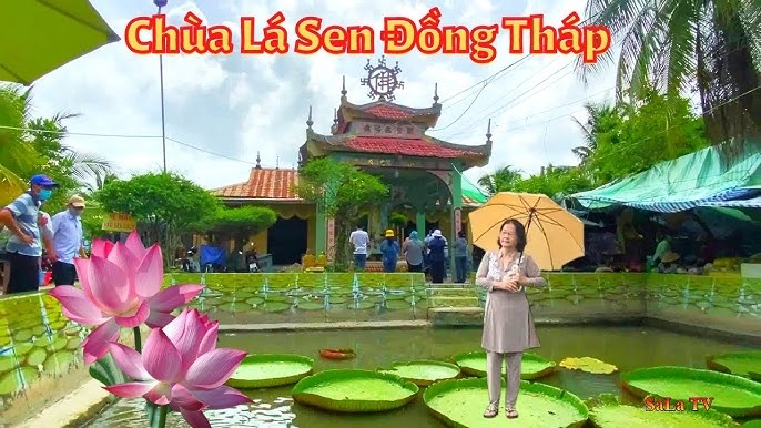Tour Đồng Sen Tháp Mười & Chùa Sen Vua – Trải nghiệm miền Tây 1 ngày